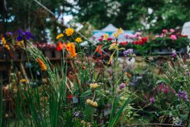 Hellens Manor, Tudor Manor House, Herefordshire
